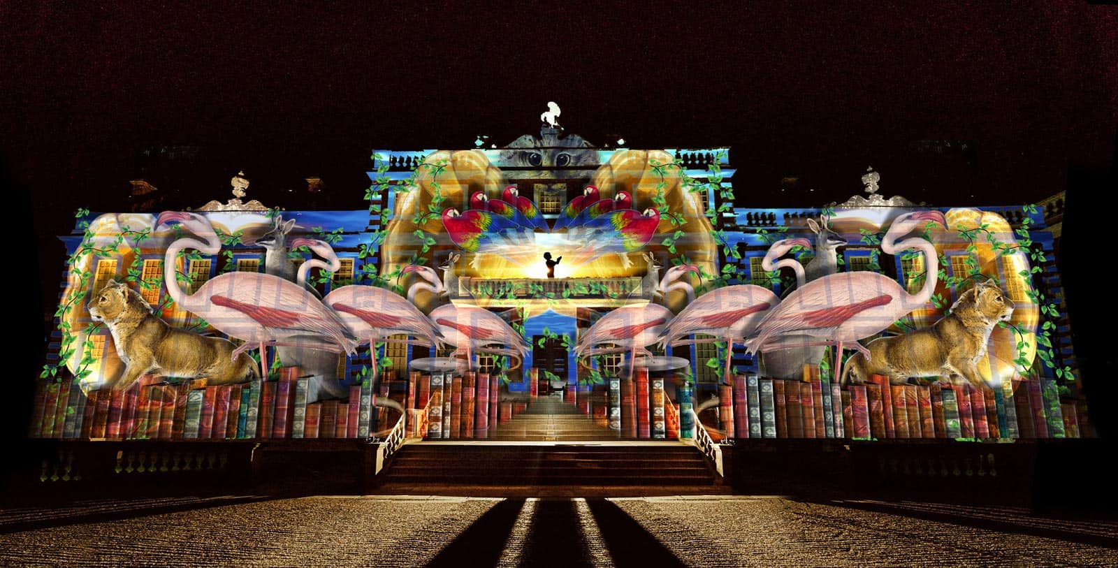 Last chance to register for New Dawn Light Spectacular tickets