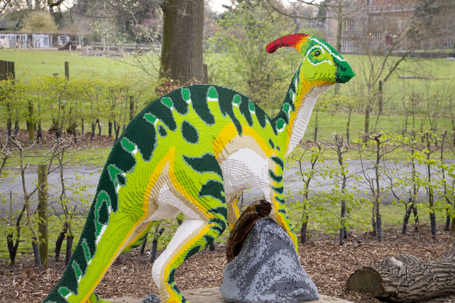 DinoTown Southport: Everything you need to know - Explore Liverpool